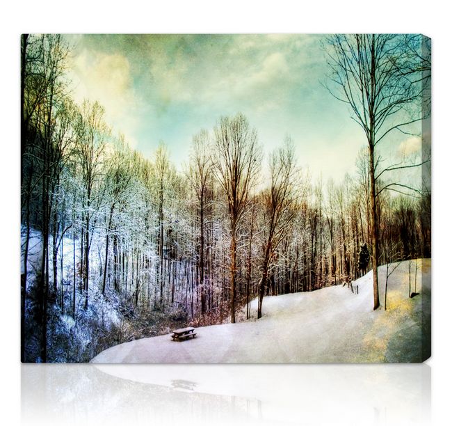Artist Touch™ canvas print art
